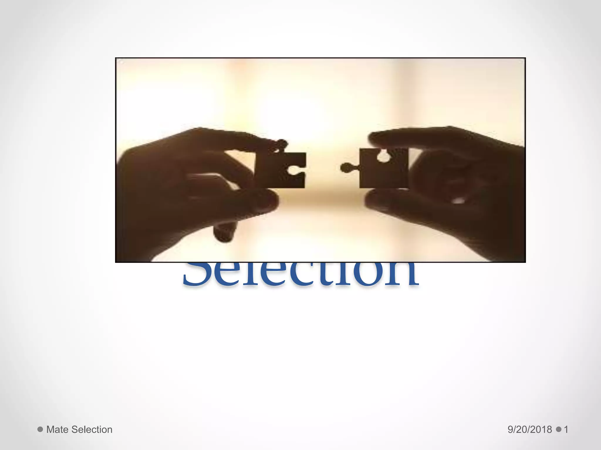 Mate selection Process a research Timeline | PPTX