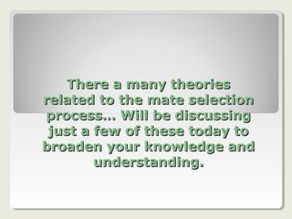 Mate Selection Criteria