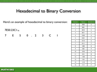 Math1003 1.11 - Hex to Binary Conversion | PDF | Computing | Technology ...
