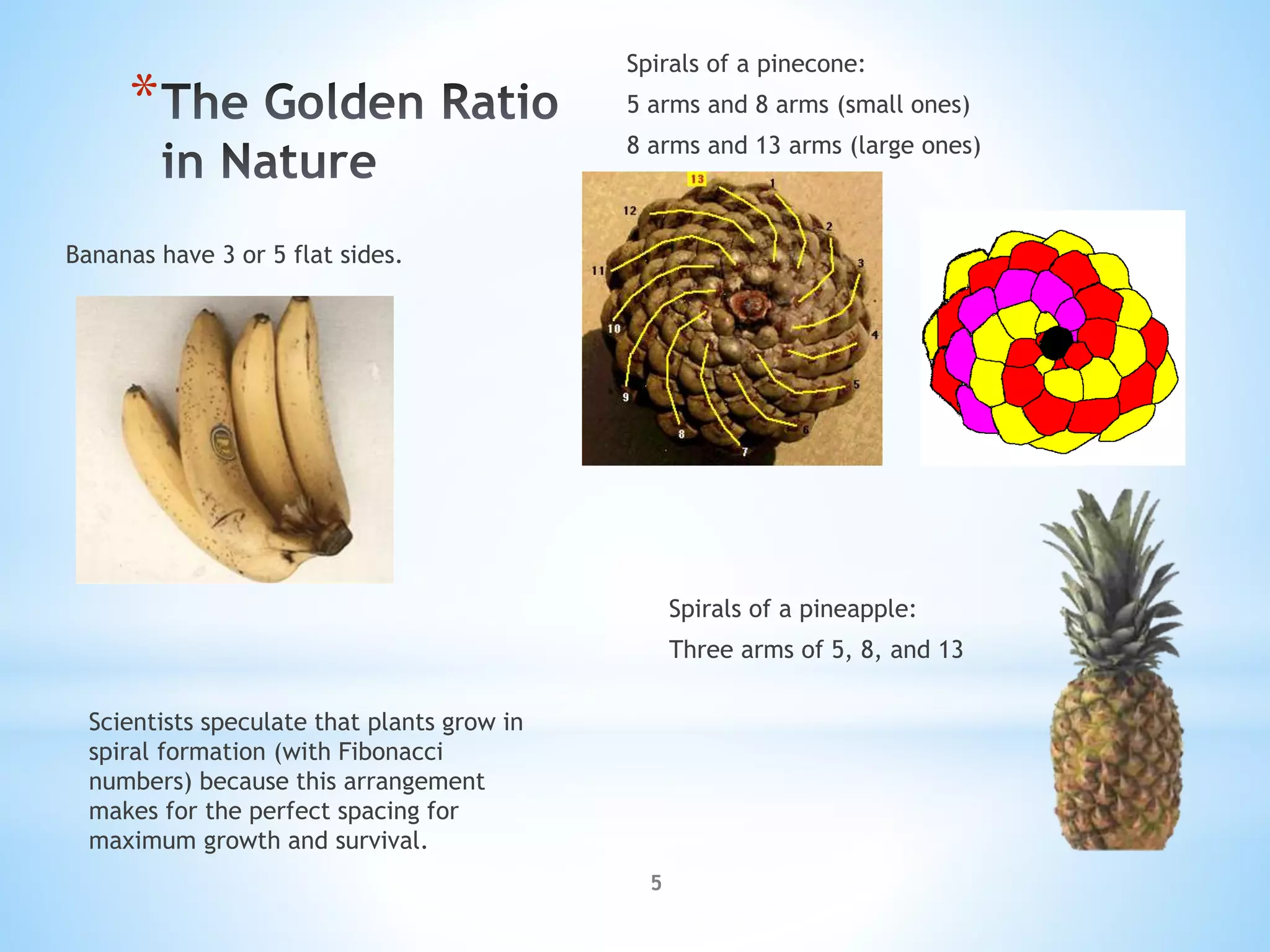 Math 140 fibonacci and golden ratio | PPTX