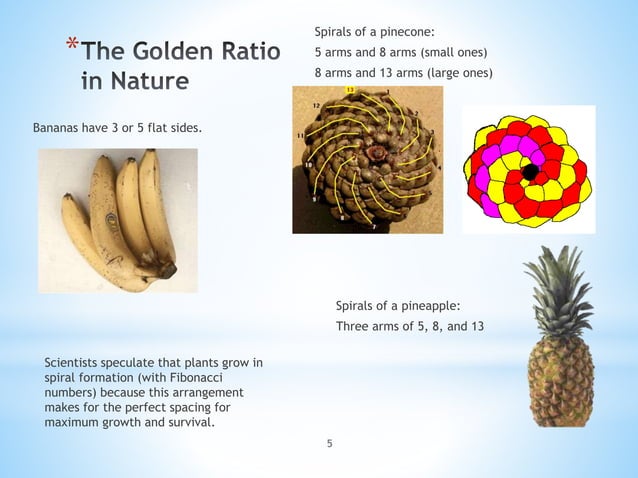Math 140 fibonacci and golden ratio | PPTX