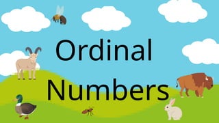 Grade 1- Ordinal Number- First to Tenth | PPTX