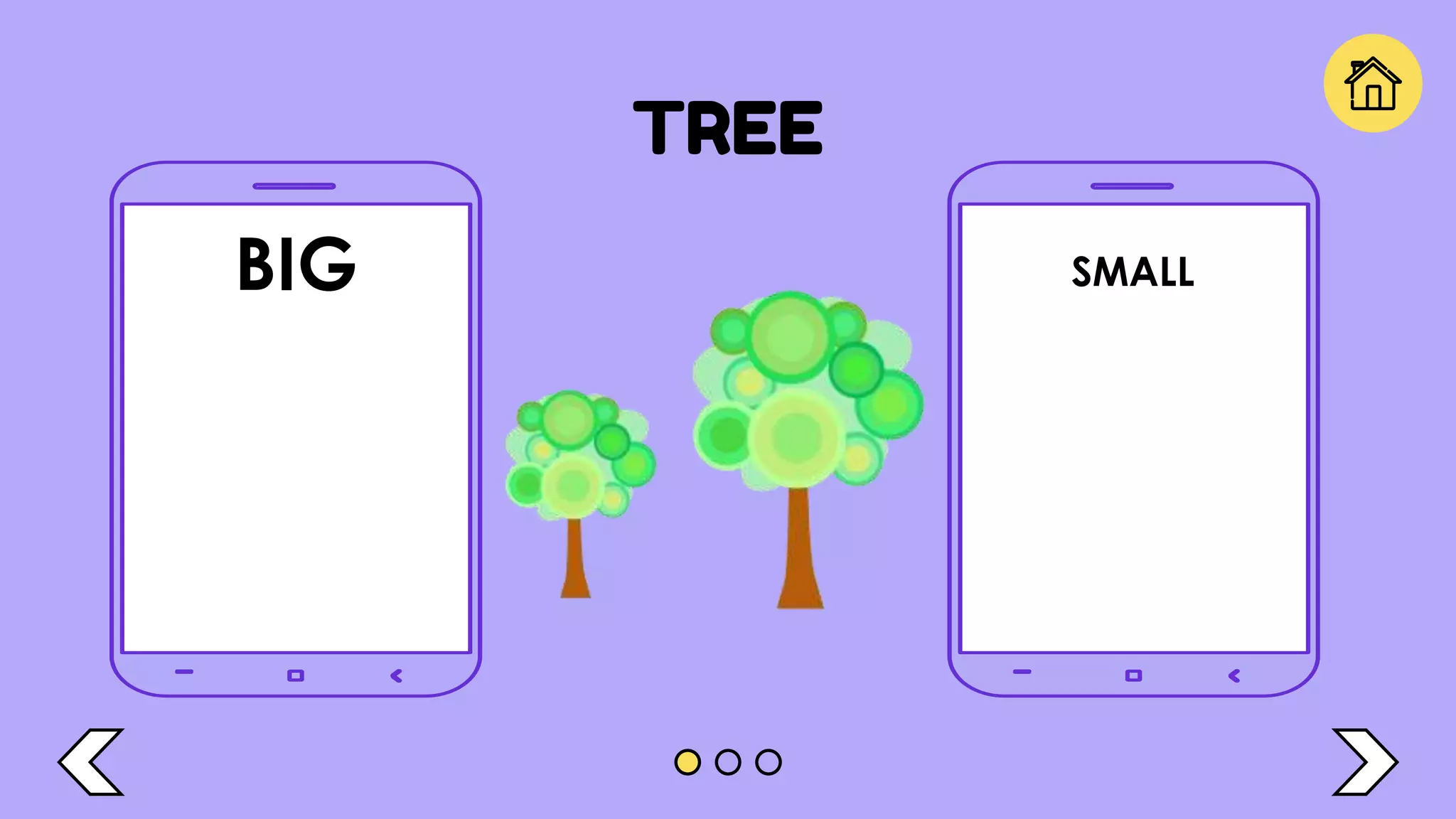 BIG and SMALL Activity | PPTX