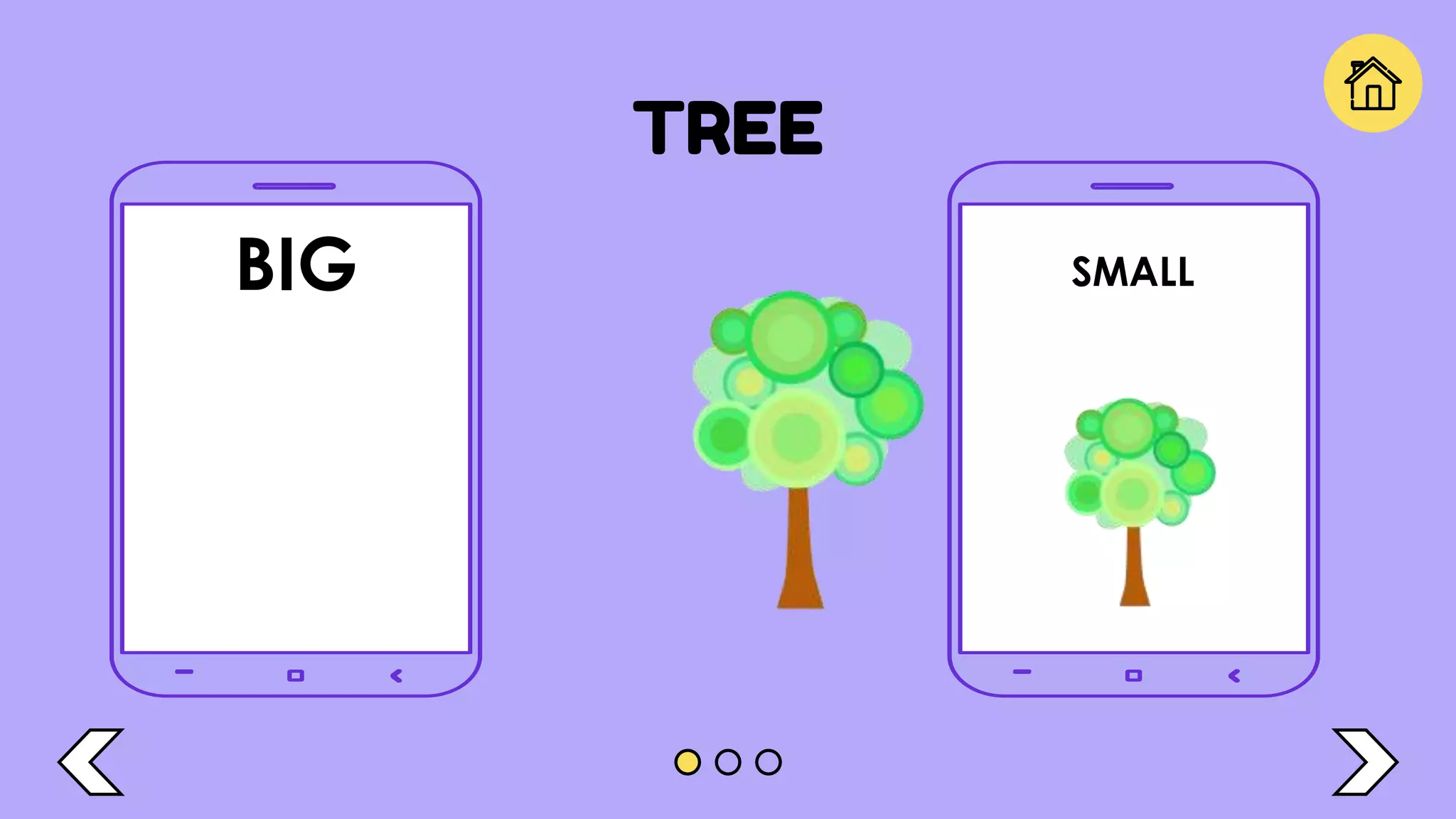 BIG and SMALL Activity | PPTX