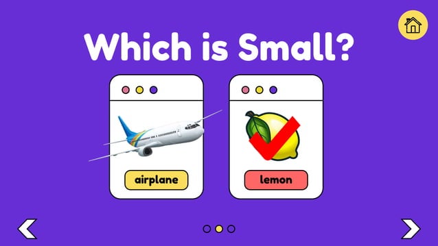 BIG and SMALL Activity | PPTX