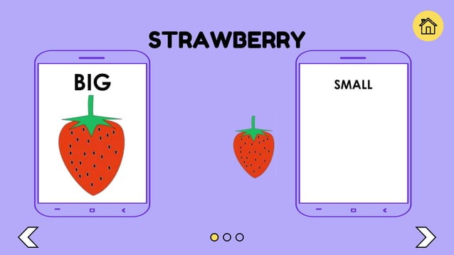 BIG and SMALL Activity | PPTX