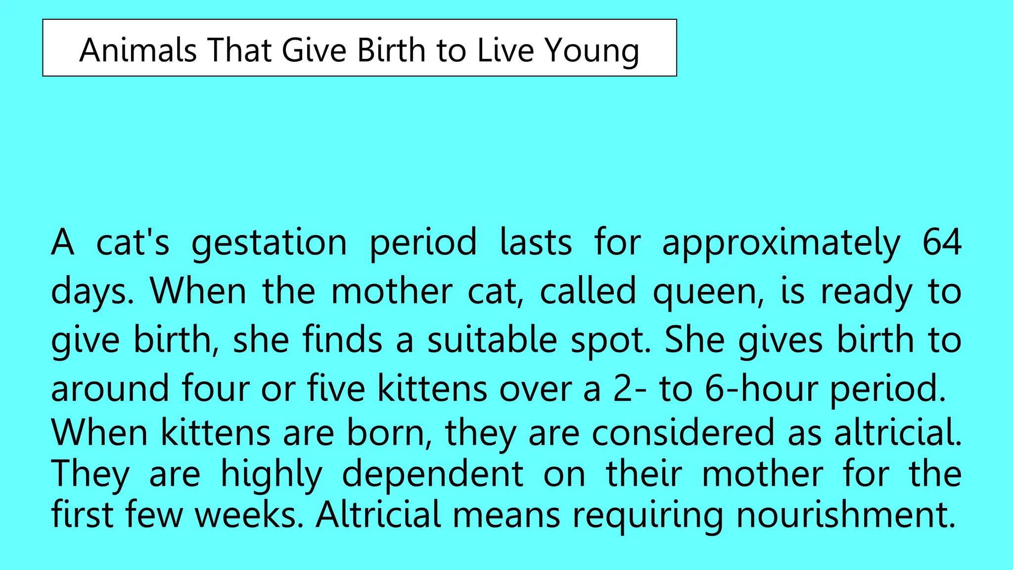 Math and Science Powerpoint Presentation .pptx