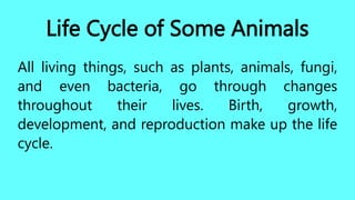 Math and Science Powerpoint Presentation .pptx