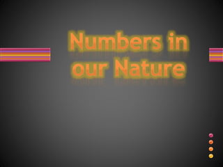 Math - Numbers in Nature and classs.pptx