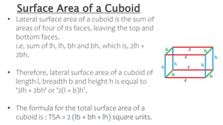 Mathematics Grade 9 (Surface Areas) Digital Plan - 2.pptx