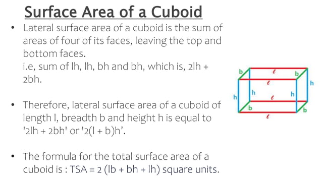 Mathematics Grade 9 (Surface Areas) Digital Plan - 2.pptx