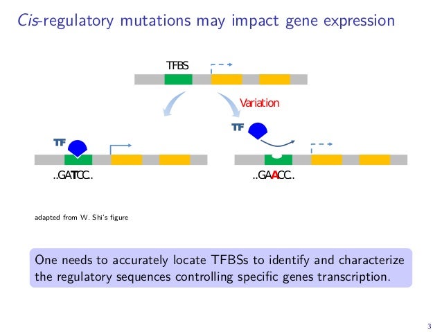 Cis Regulatory Somatic Mutations And Gene Expression Alteration In B …