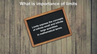 Limit of Function Mathematic | PPTX | Physics | Science
