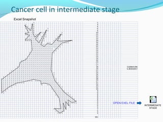 Mathematical modeling in the diagnosis of cancer | PPT