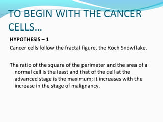 Mathematical modeling in the diagnosis of cancer | PPT