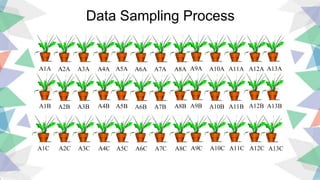 Mathematical modeling of glycine max. (soybean) var. anjasmoro plant ...