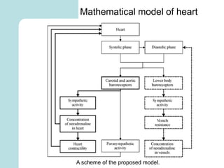 Mathematical modeling of health care system.ppt