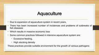 mathematical modelling presentation.pptx | Agriculture | Industries