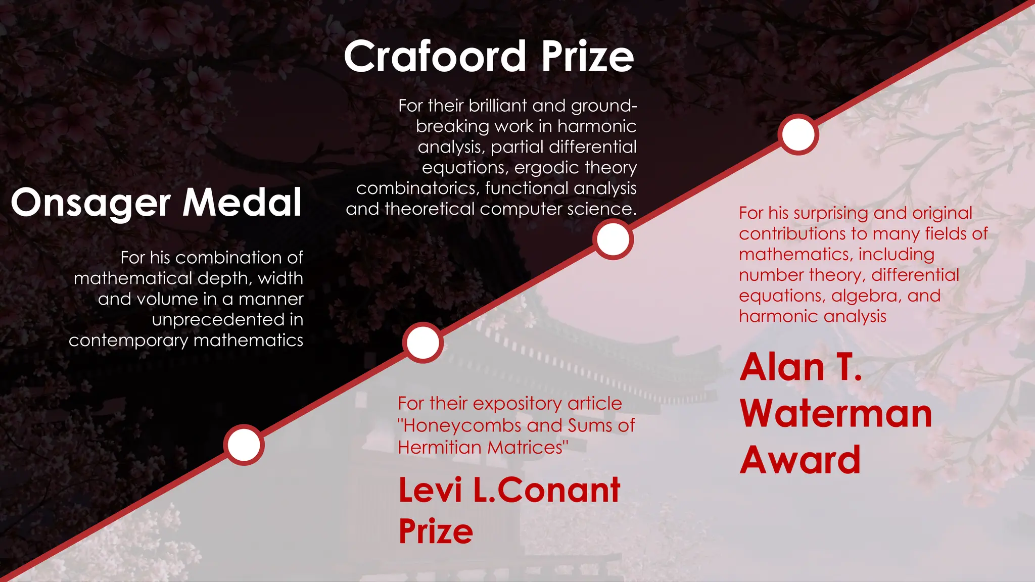 MATHEMATICIAN PPT - WITHOUT ANIMATION.pptx