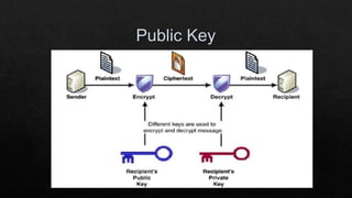 Introduction to Cryptography and mathematics in it.pptx