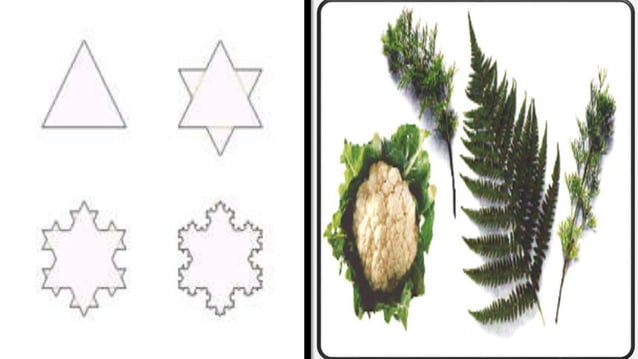 Mathematics-in-the-modern-world-2.power. | PPTX | Geography | Science