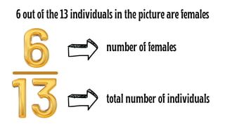 MATHEMATICS 4 - FRACTIONS - PART I - KINDS OF FRACTIONS.pdf