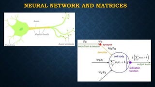 Mathematics and AI.ppt