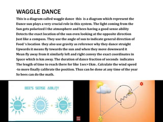 MATHEMATICS AROUND US.pptx