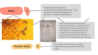 Mathematics around us Lucija & Marta | PPT