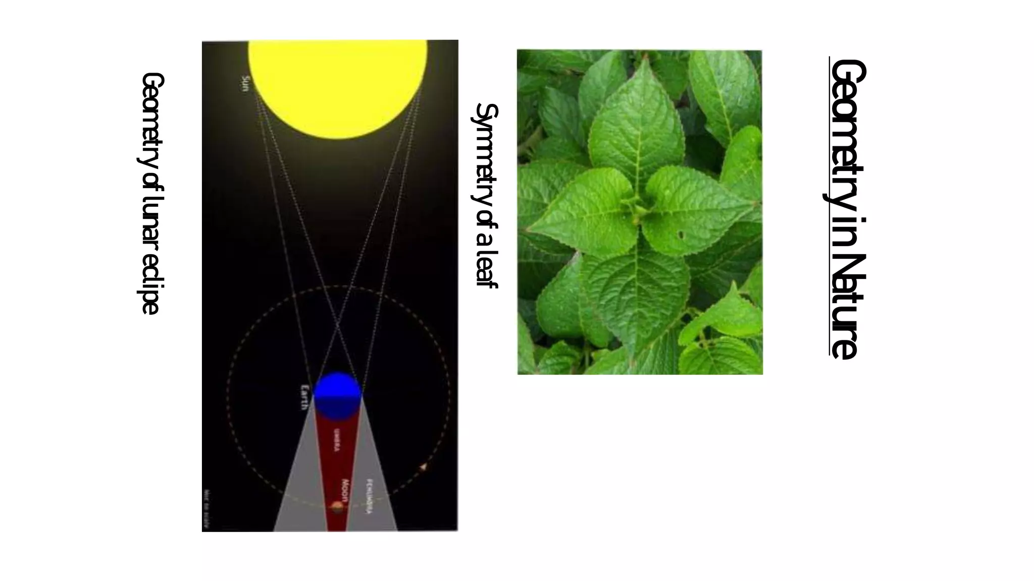 Application of geometry in daily life.pptx