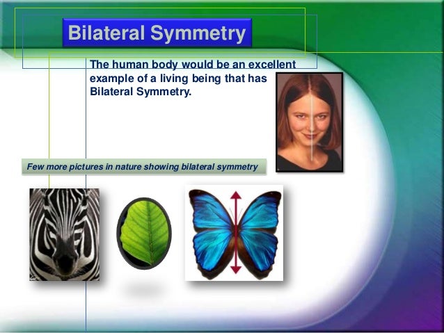Mathematics in nature