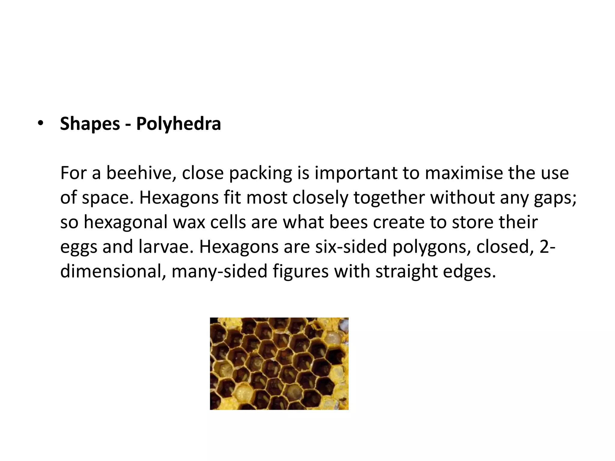 Mathematics in nature | PDF