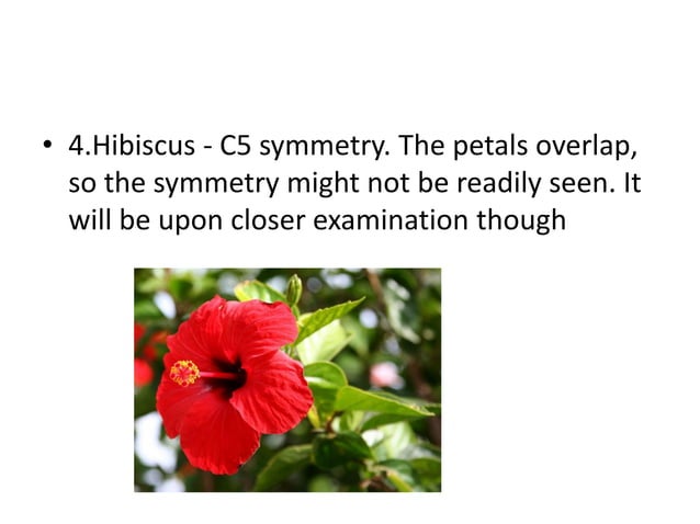 Mathematics in nature | PDF