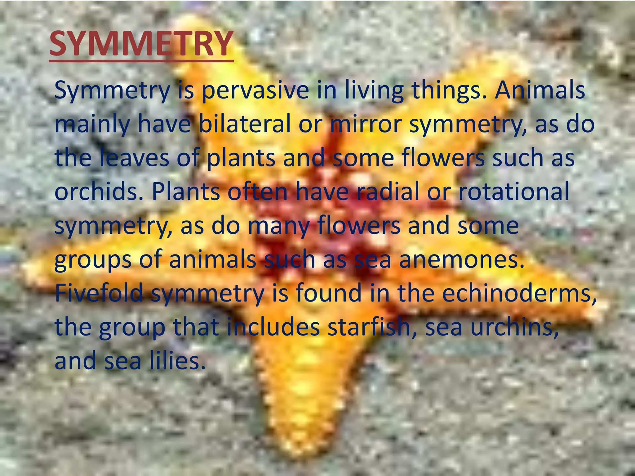 Mathematics in nature | PDF