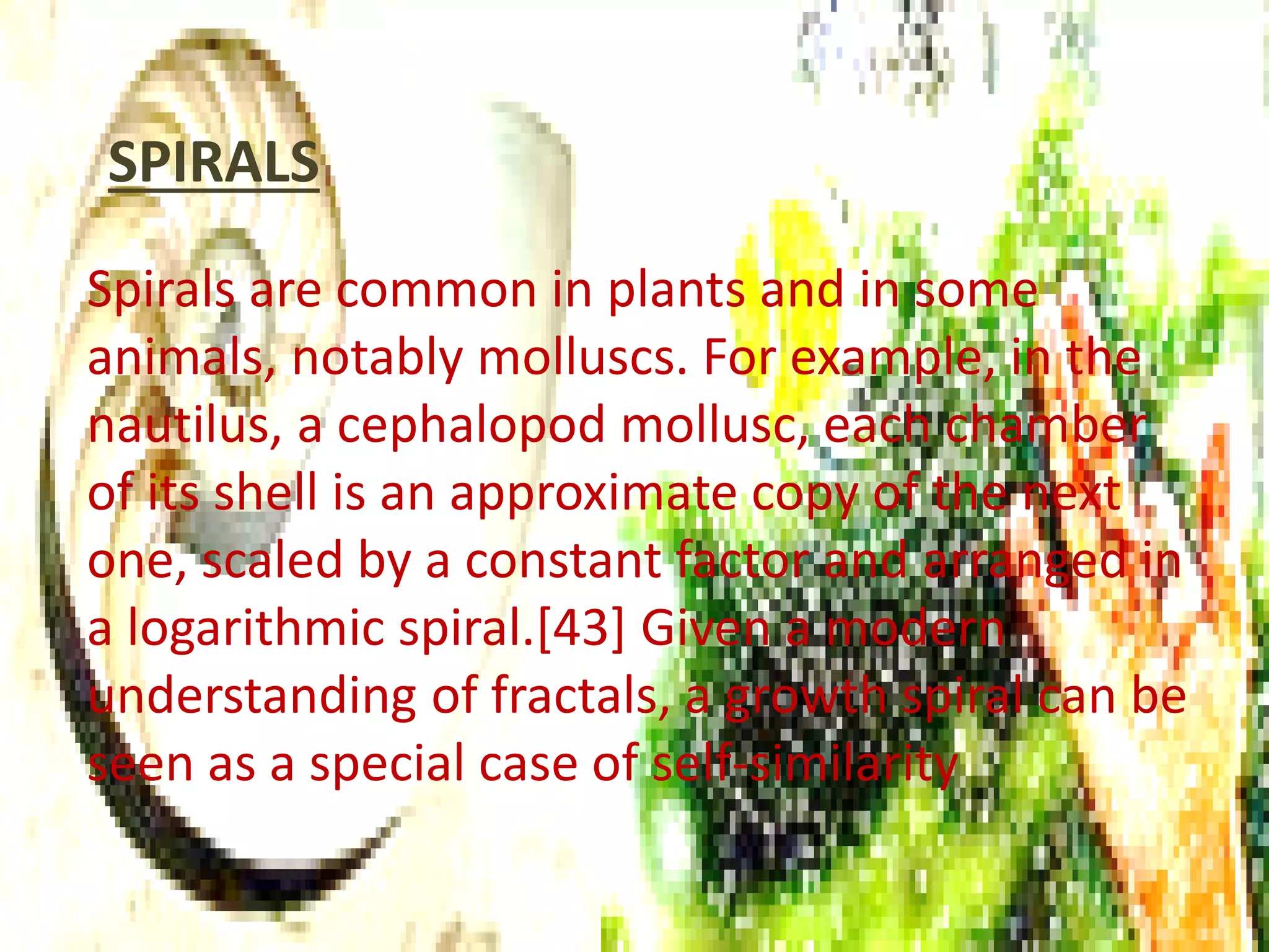 Mathematics in nature | PDF