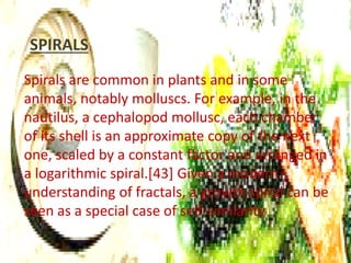 Mathematics in nature | PDF