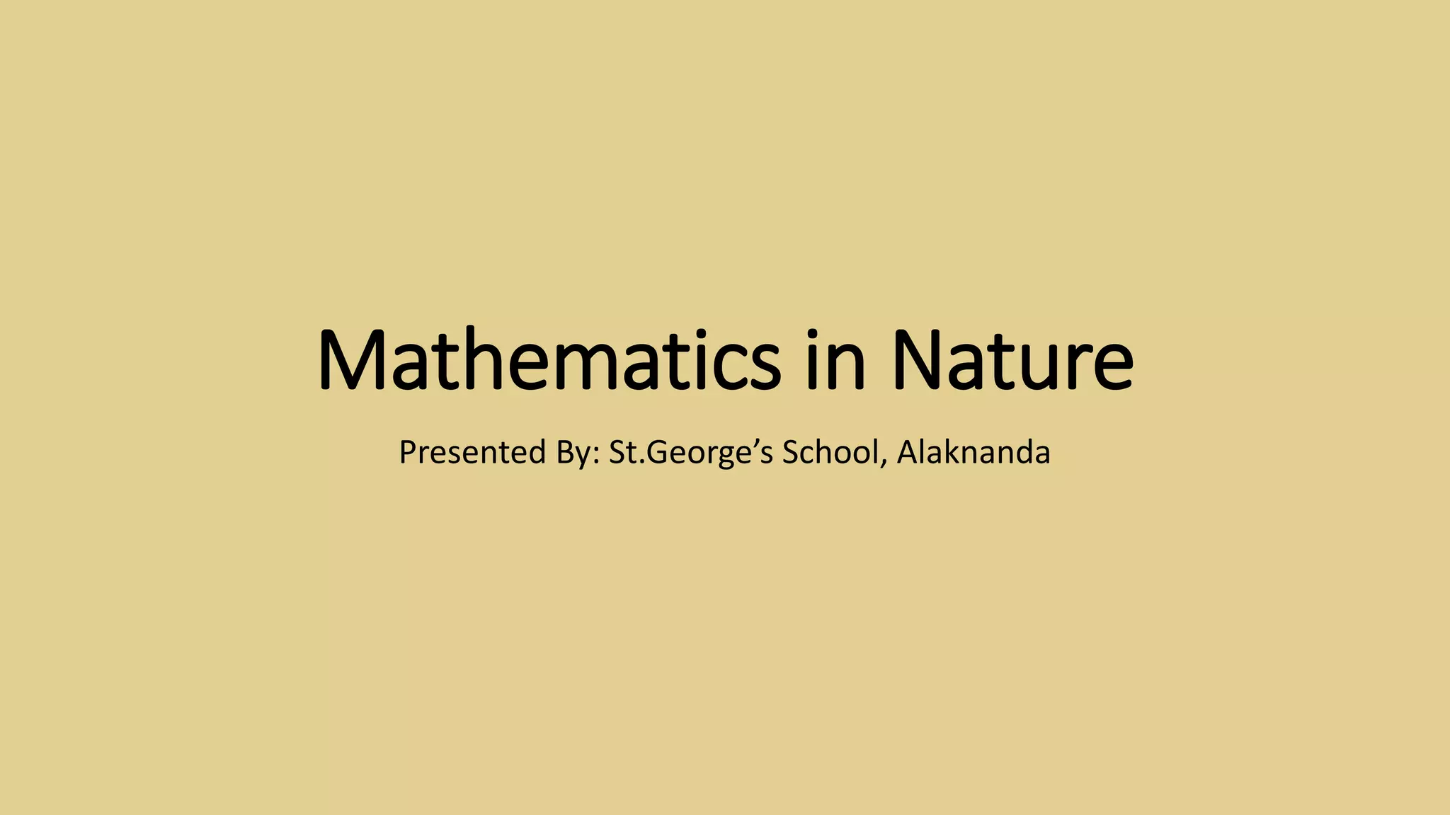Mathematics in nature | PPTX