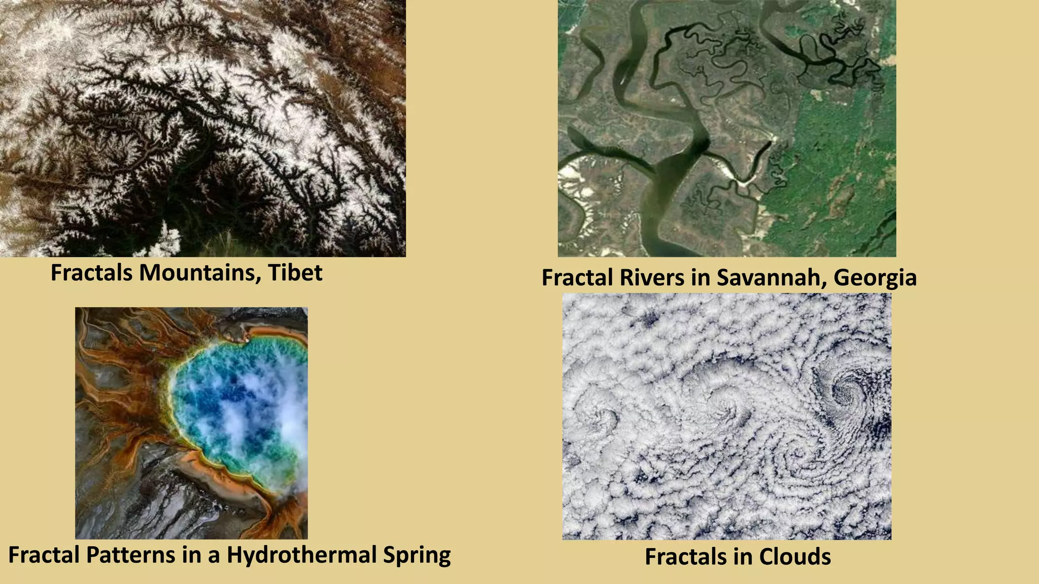Mathematics in nature | PPTX