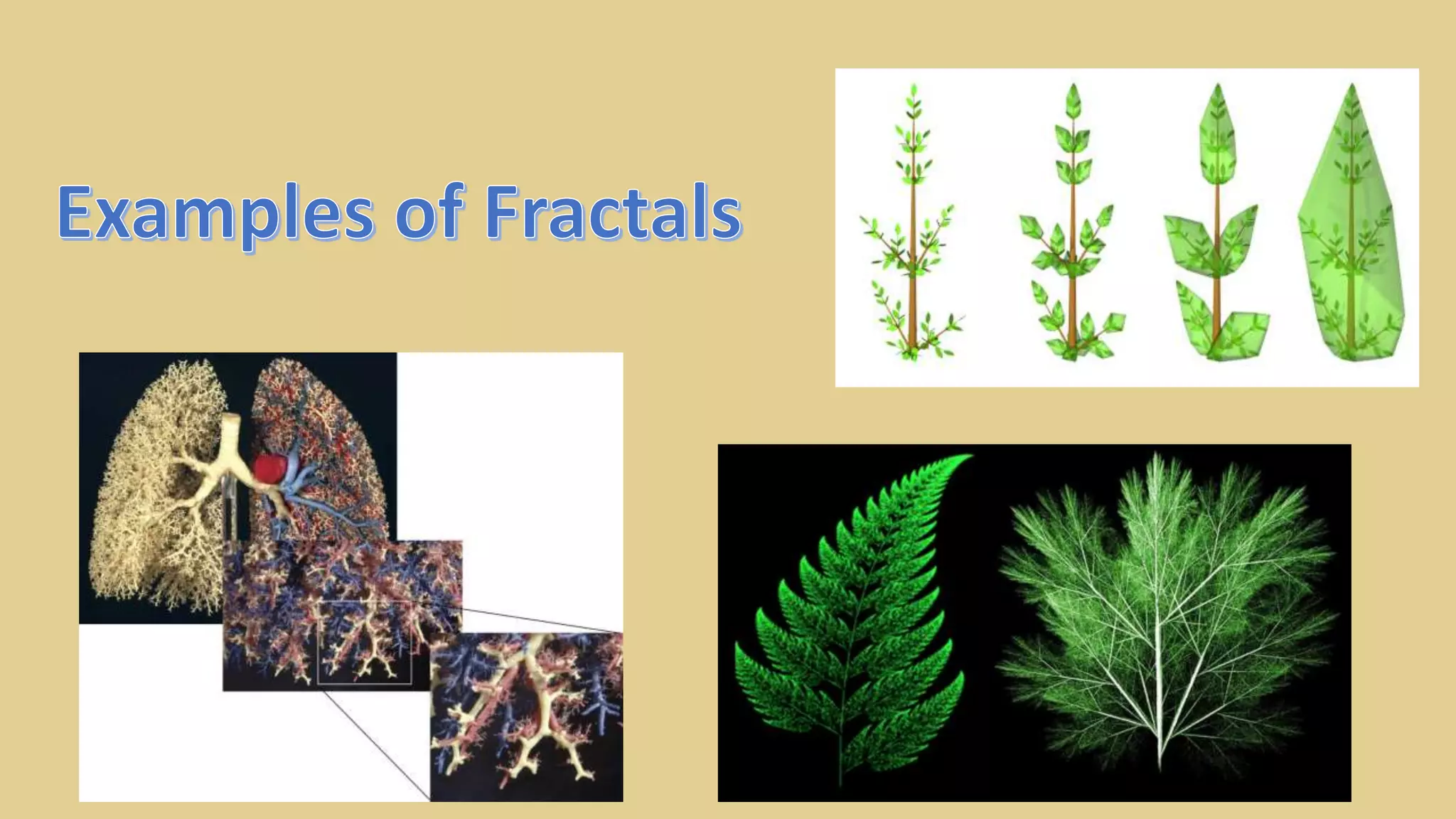 Mathematics in nature | PPTX