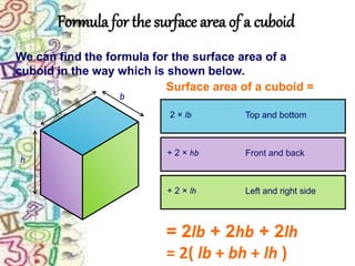 Volume and Surface Areas | PPTX