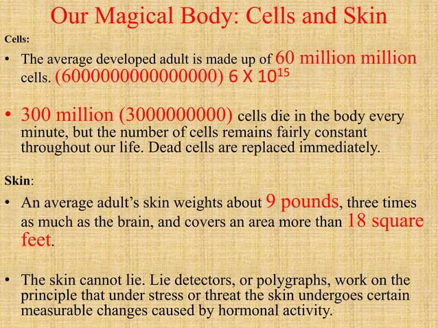 Mathematics of Physiology - SMK.pptx