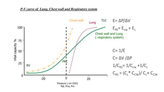 Mathematics of pulmonary mechanics | PPTX