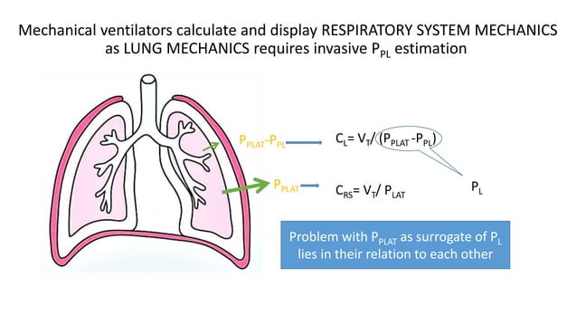 Mathematics of pulmonary mechanics | PPTX