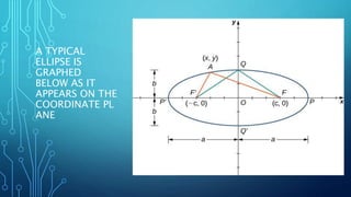 Conic Sections (Class 11 Project) | PPTX