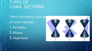 Conic Sections (Class 11 Project) | PPTX