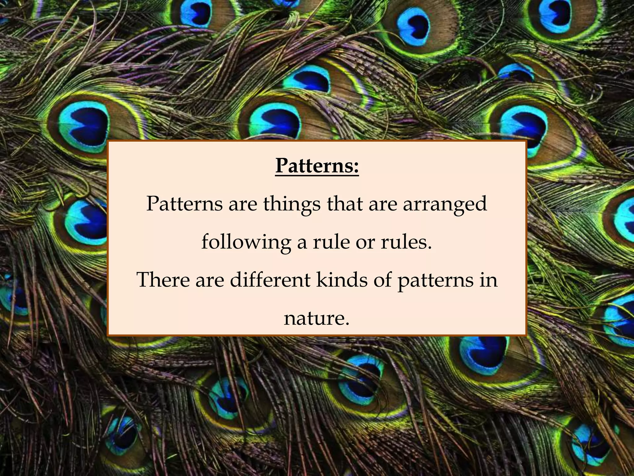 Math in Nature | PPTX