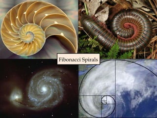 Math in Nature | PPTX