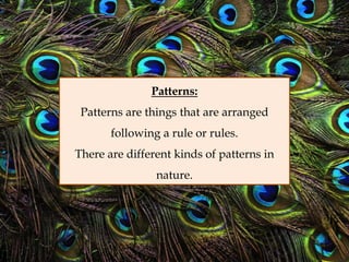 Math in Nature | PPTX