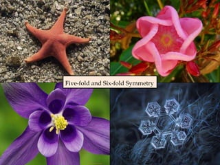 Math in Nature | PPTX