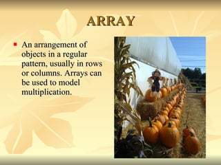 Math Visual Vocabulary | PPT